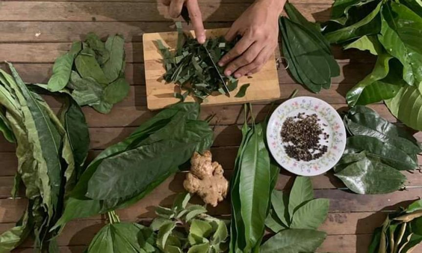 Albularyo or herbolaryo: which is which? – Hilot Academy of Binabaylan