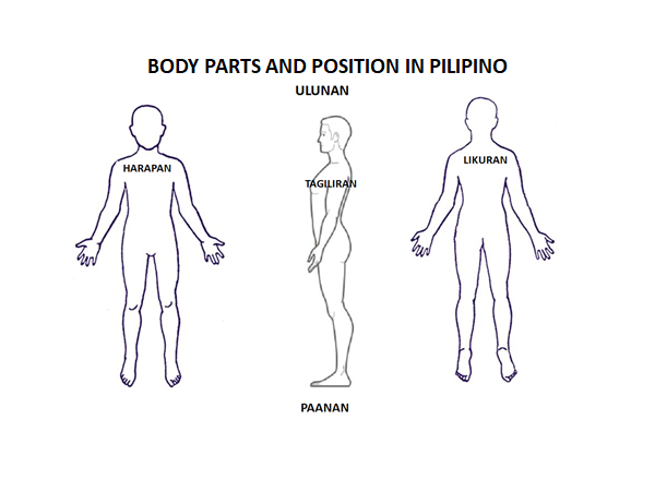 Do you know your Body Parts? – Hilot Academy of Binabaylan