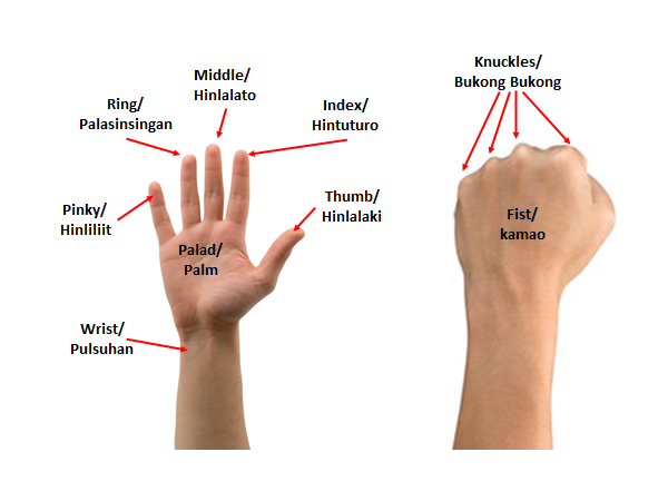 Do you know your Body Parts? – Hilot Academy of Binabaylan
