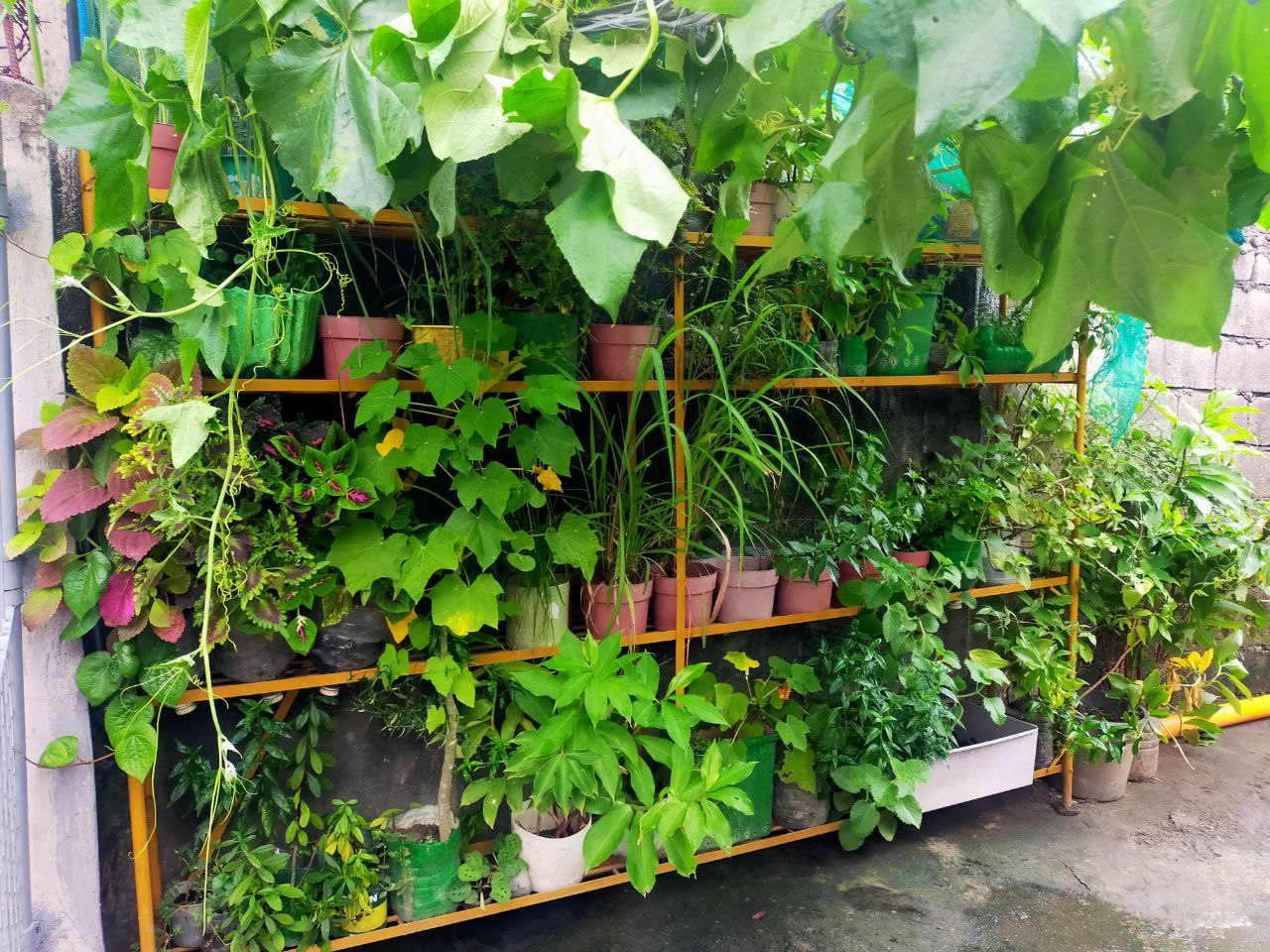 The Practices of Hilot Binabaylan – Hilot Academy of Binabaylan